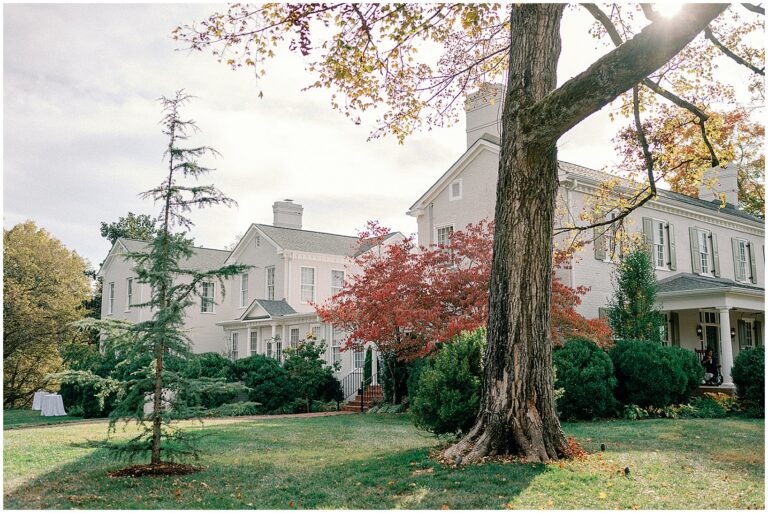 Discover Historic Elegance at a Maple Grove Estate Wedding